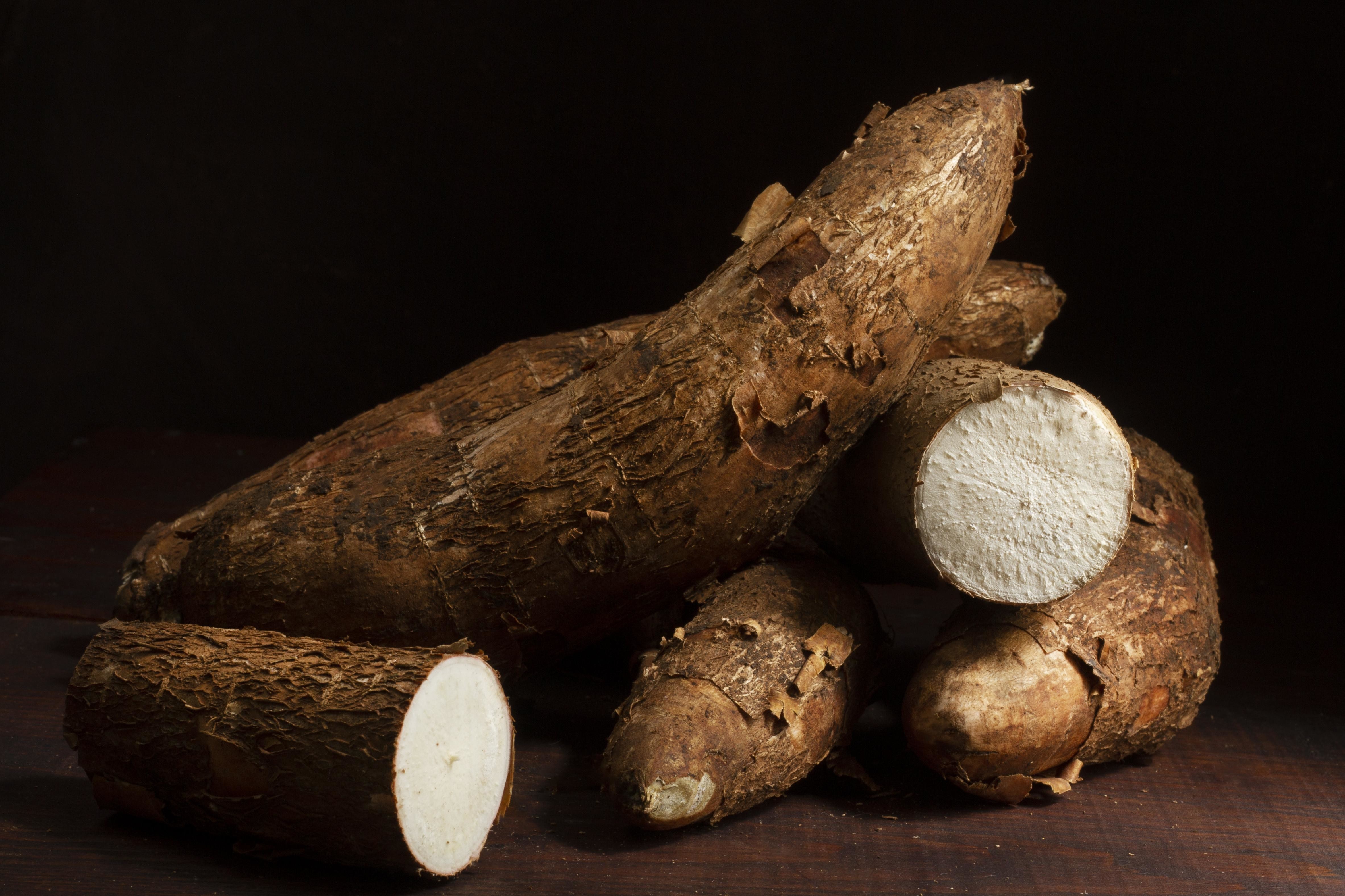 Mercado CNA | A Cultura da Mandioca no Agronegócio Brasileiro: Uma Raiz ...